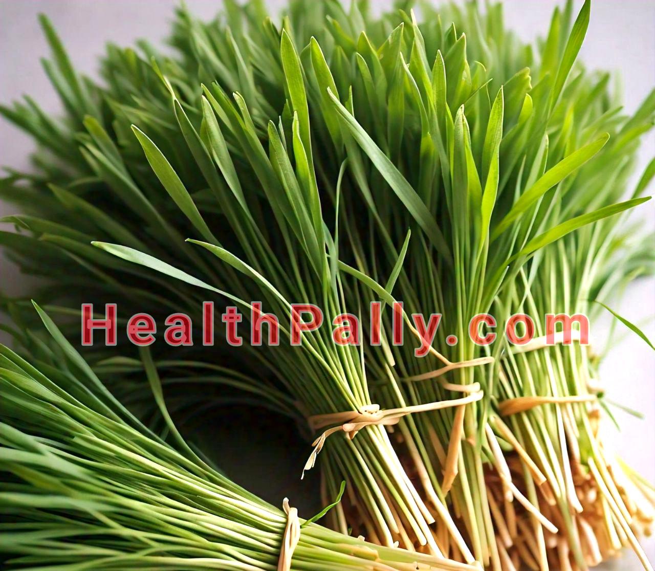Organic Wheatgrass Juice Nutrition Facts VS Other Foods & Controversies ...